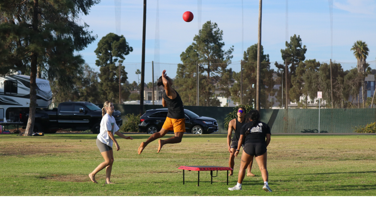 Boardball™ - Our Team – Boardball Sport